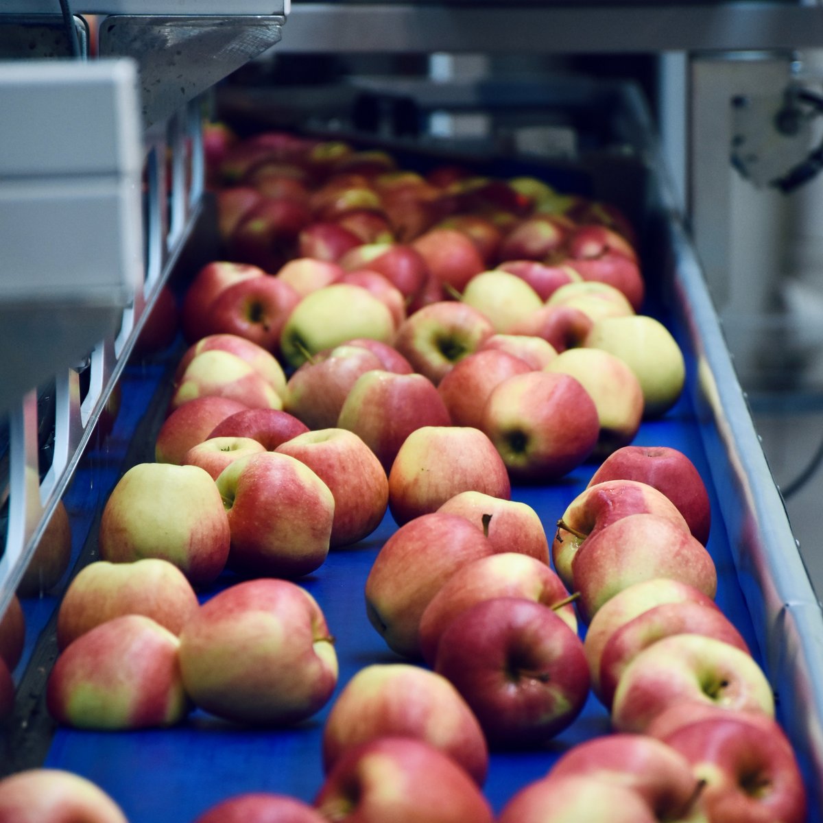 Machine-learning models for the detection of bacterial contamination in ...